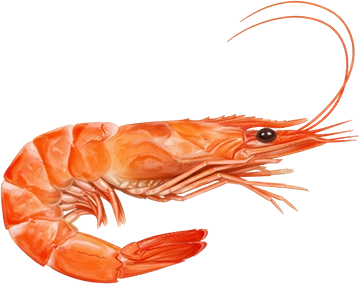 Maps | Vermilion Parish Tourist Commission